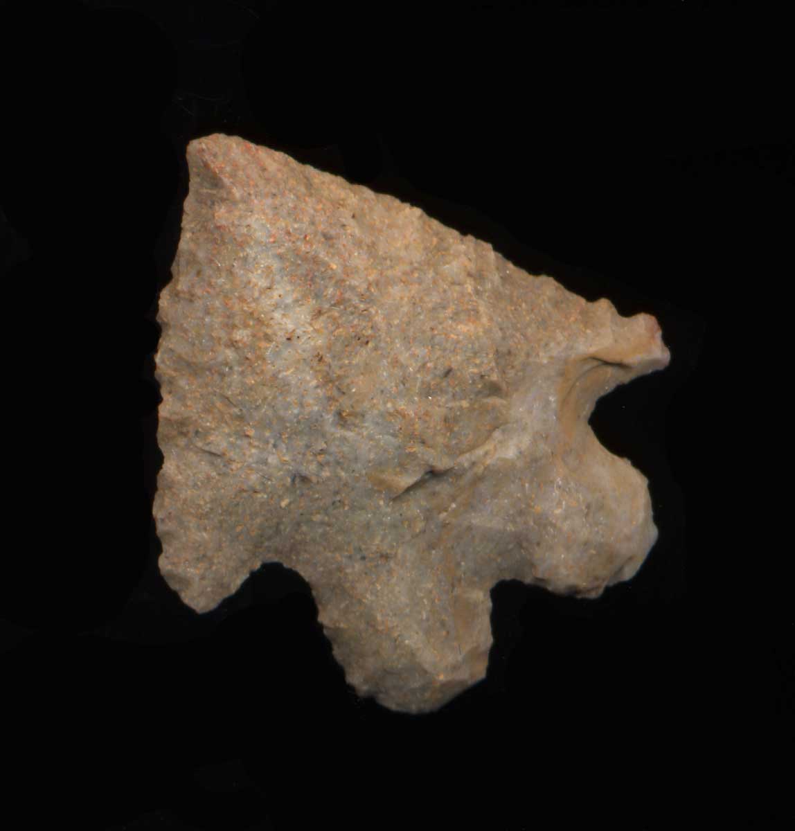 Penbrandt Prehistoric Artifacts - Archives - Lecroy